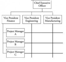 Global Matrix Structure of MNE's - MBA Knowledge Base