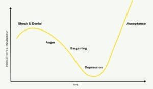 The Kübler-Ross Change Curve Model - MBA Knowledge Base